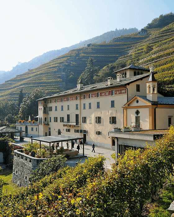 Guided Visit With Tasting | La Gatta Estate